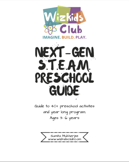 Next-Gen STEAM Preschool Guide: Year-long program and guide to 40 ...